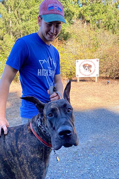 Services - Alpha & Omega Dog Training